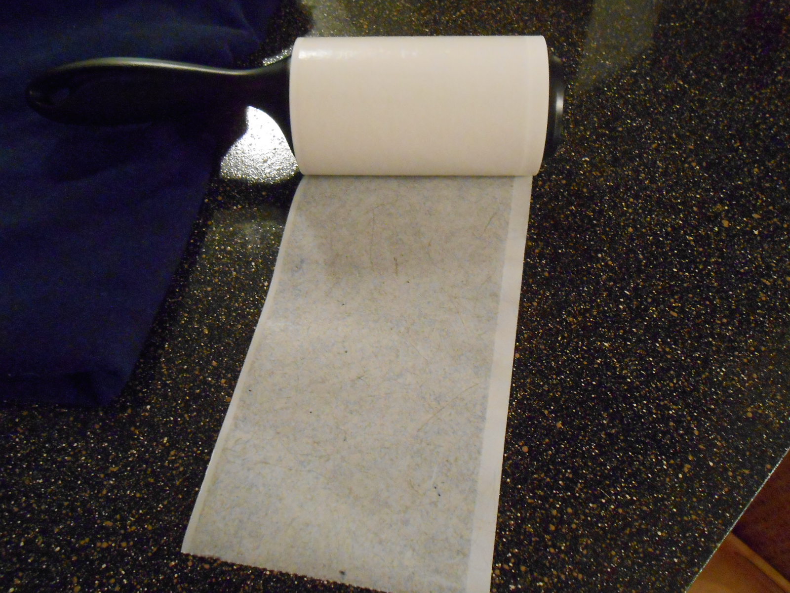 Pruven Pet Products Review - Bullock's Buzz