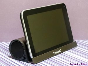 LuguLake Portable Bluetooth Speaker with Built-In Stand - Bullock's Buzz