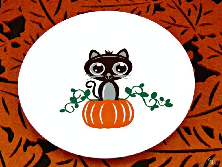 DIY Cat Food Plate - Serve Up Your Feline's Favorite Foods