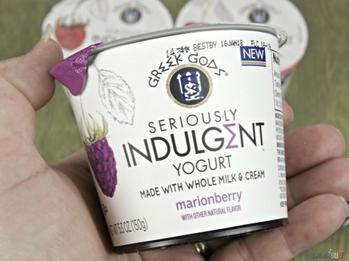 Sweet Indulgence Frozen Yogurt Dots - Indulge Yourself Today!