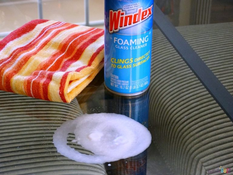 Windex® Foaming Glass Cleaner + DIY Upcycled Window Flower Planter