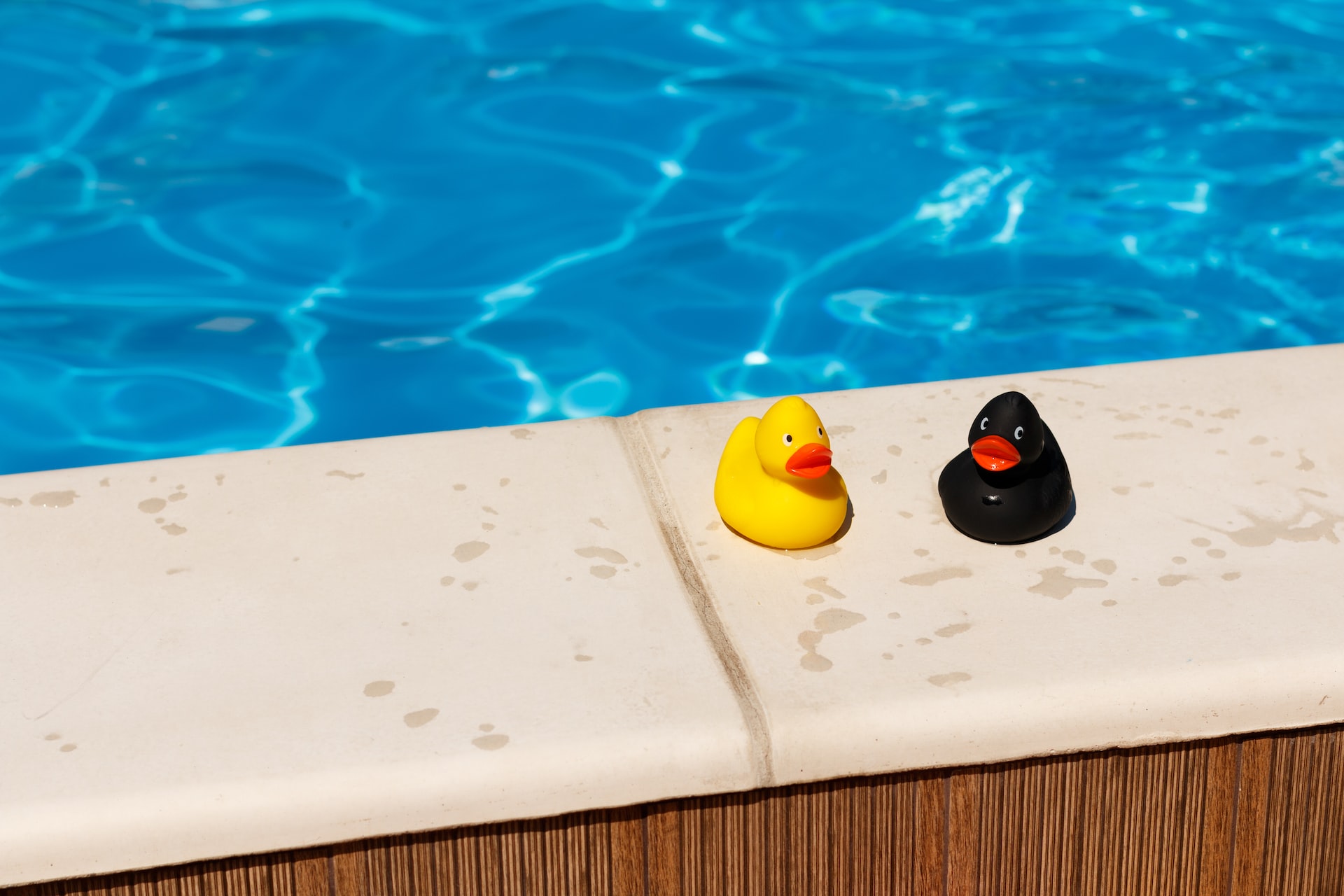 Fall Pool Maintenance - 8 Tips for You to Follow - Bullock's Buzz