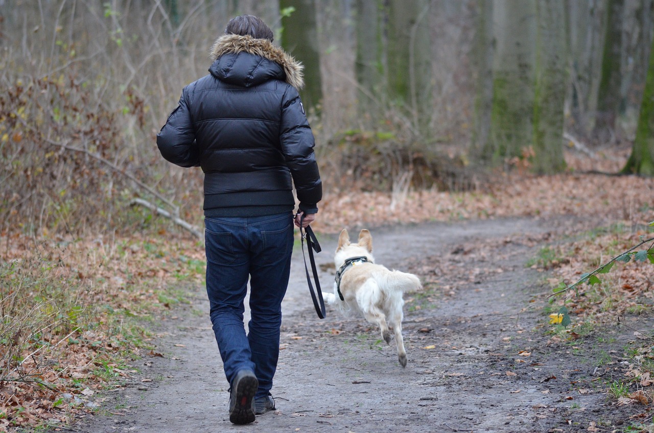 Safety Tips for Dog Walkers - Bullock's Buzz