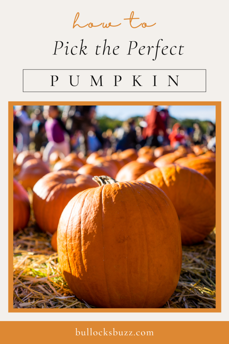 How to Pick the Perfect Pumpkin