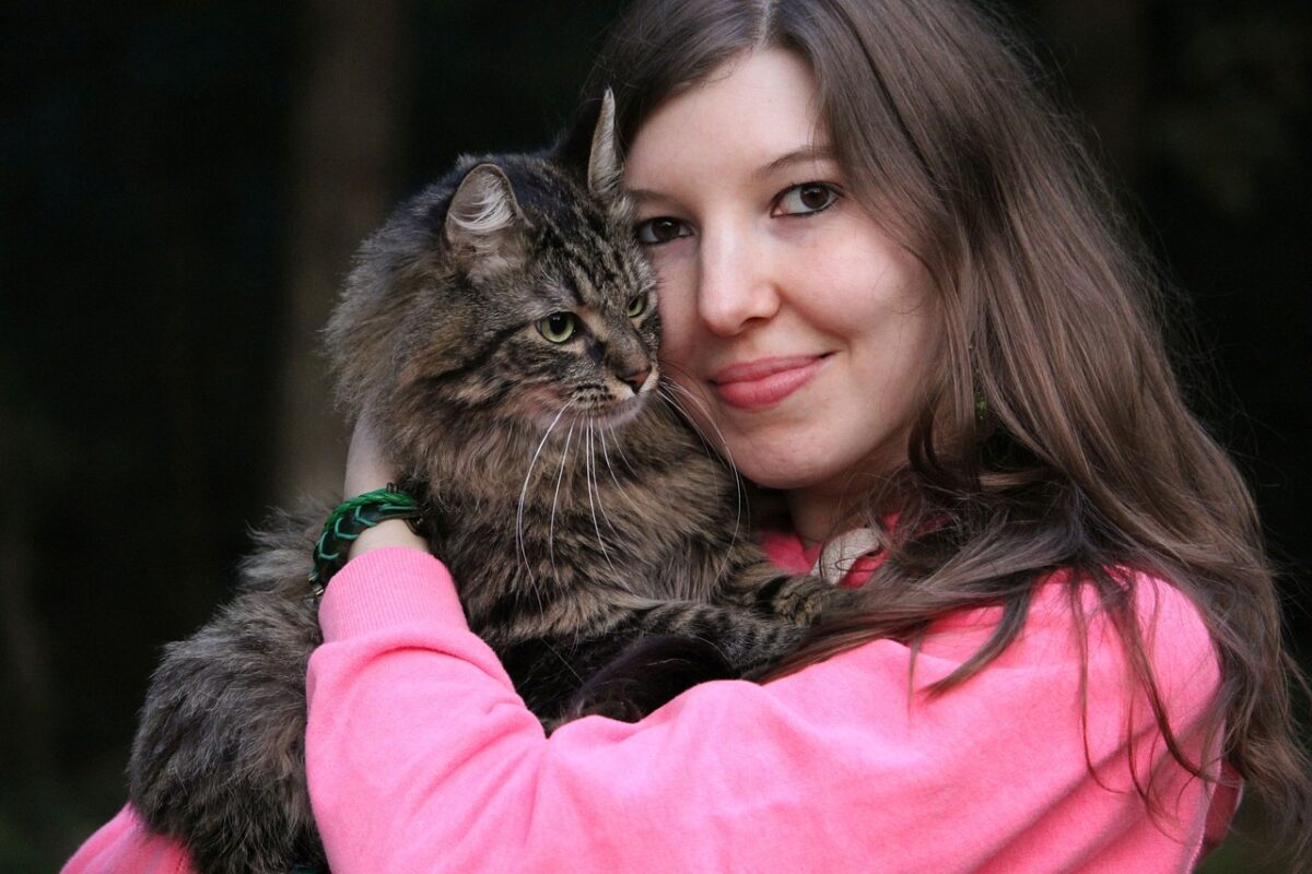 Cat Allergy Shots: Do They Actually Work? - Bullock's Buzz